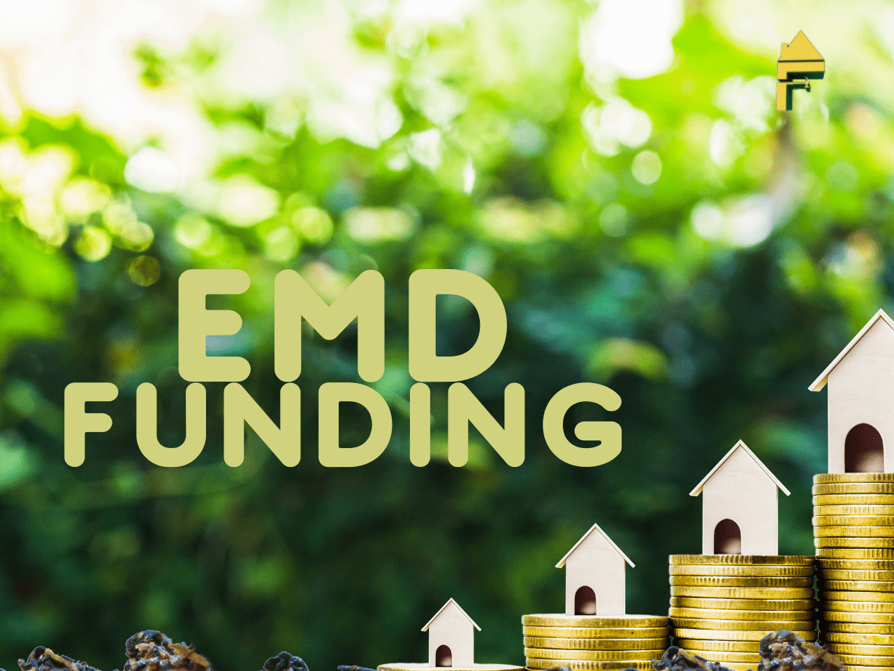 Is Your EMD Holding You Back? The Game-Changing Strategy No One Talks ...